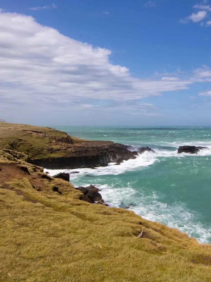 The Catlins' Waterfalls + Other Things to Do in 2 Days (New Zealand)