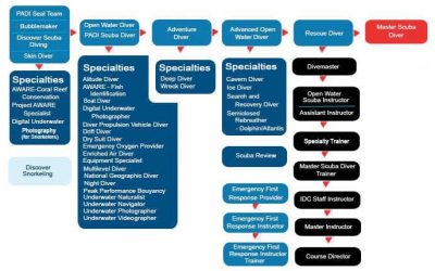 How to Be a Scuba Diving Instructor Abroad