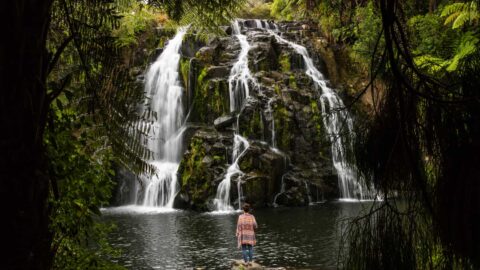 Piha Waterfall Walks and Beaches—New Zealand