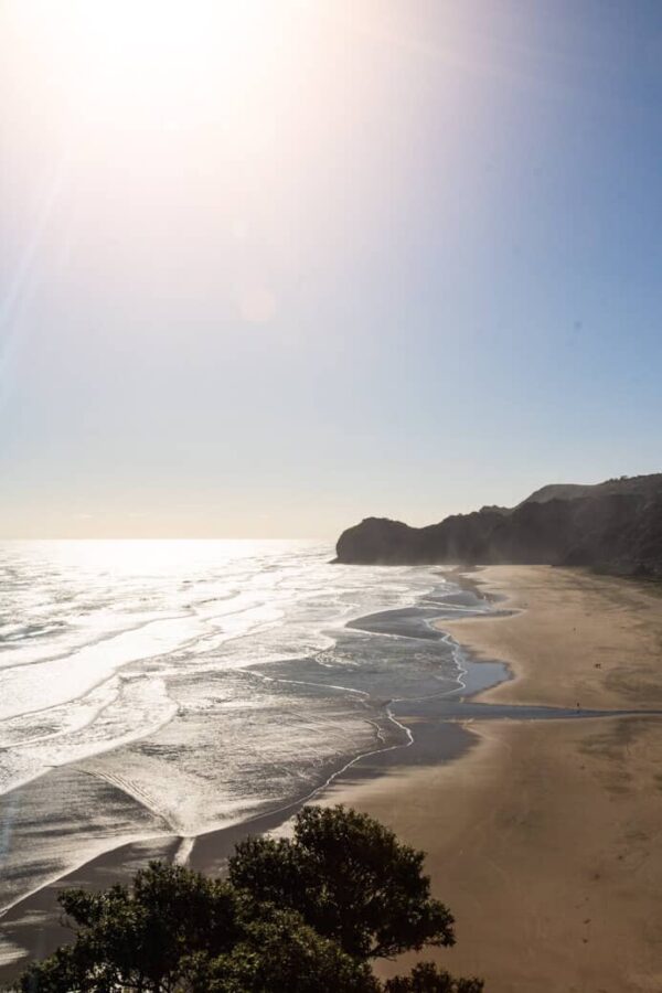 Piha Waterfall Walks and Beaches—New Zealand