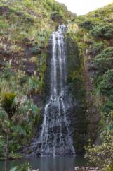 Piha & Waitakere Ranges Walks, Waterfalls, and Beaches—New Zealand
