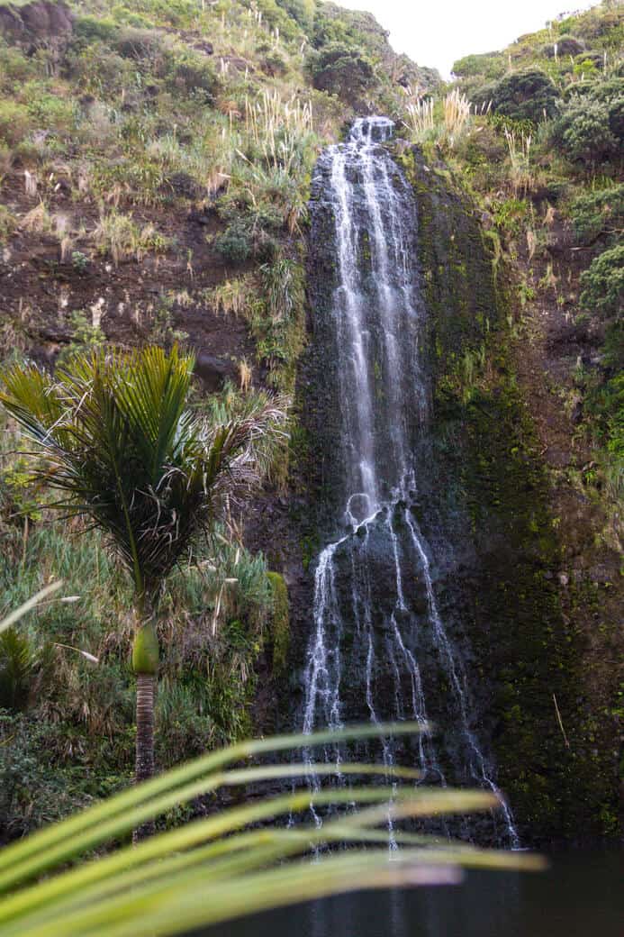 Piha & Waitakere Ranges Walks, Waterfalls, and Beaches—New Zealand