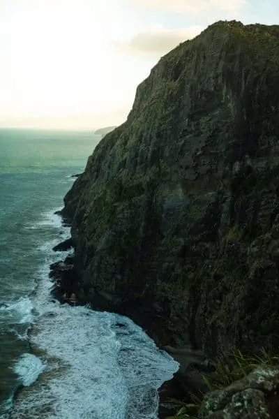 Piha Waterfall Walks and Beaches—New Zealand (2023)