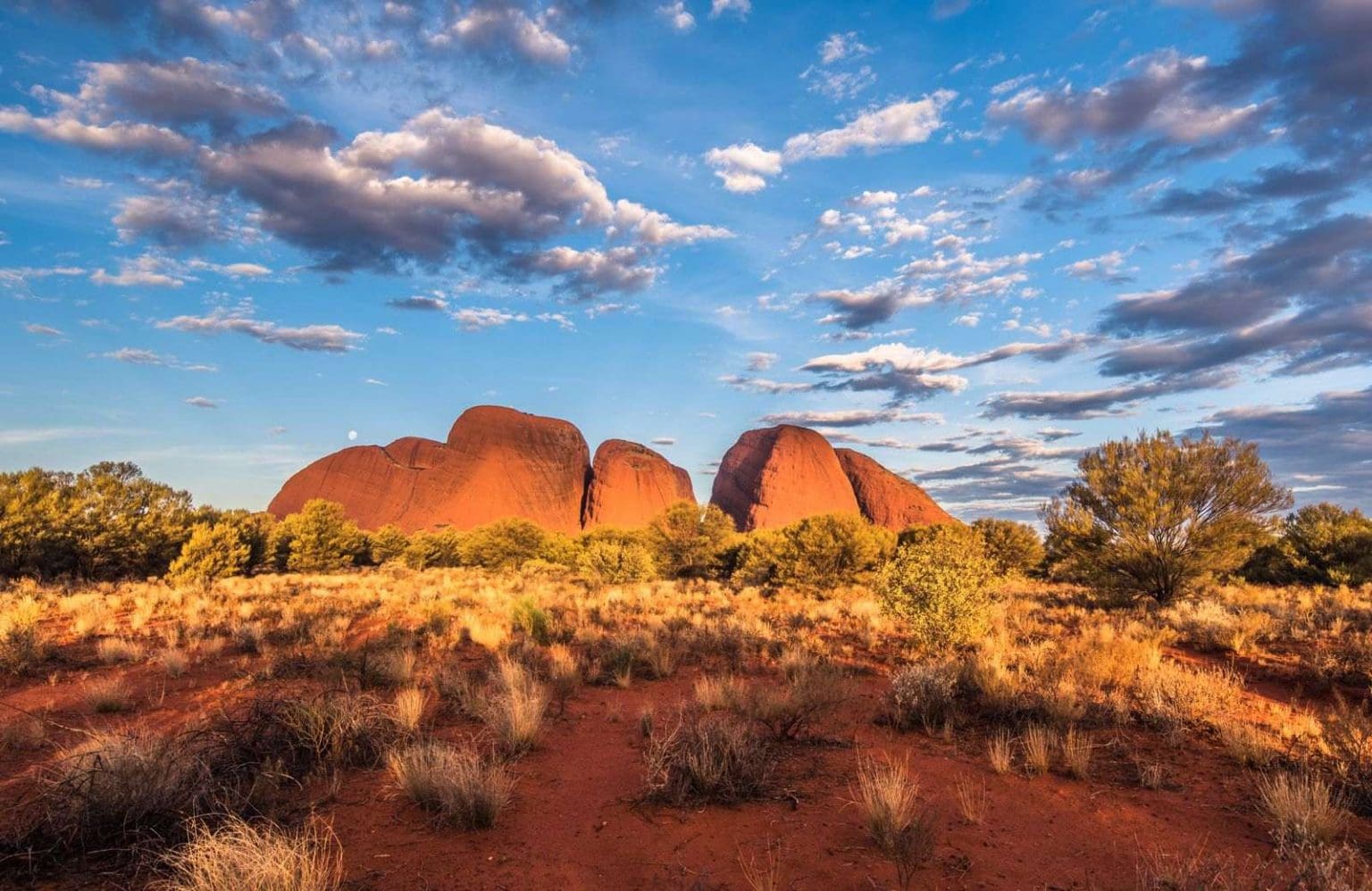 How to Work Abroad in Australia: EVERYTHING You Need To Know
