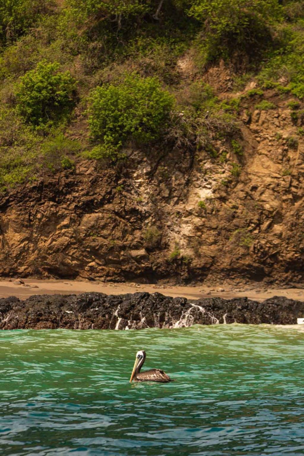Your Guide to Olon, Ecuador— Learn Spanish & Surf!