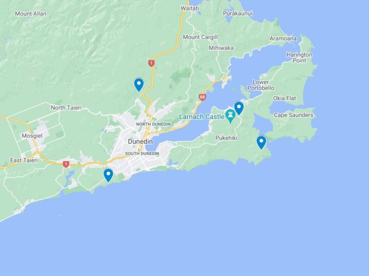 4 Easy But Beautiful Walks Around Dunedin, New Zealand