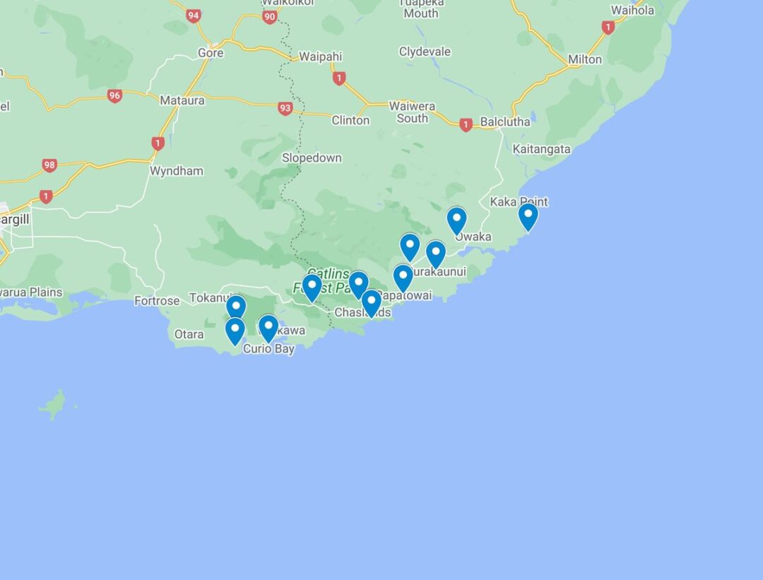 11 Things to Do in The Catlins in 2 Days (New Zealand)