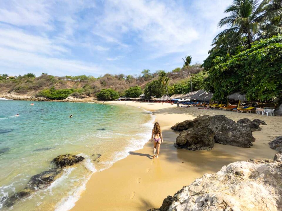 Your Guide to Playa Carrizalillo in Puerto Escondido Mexico