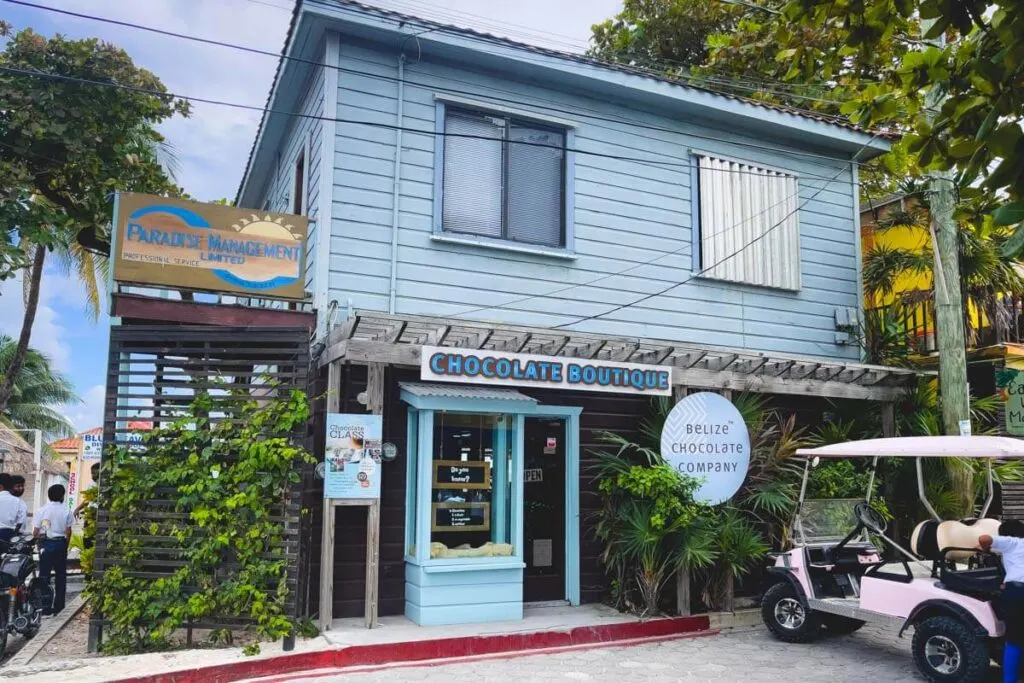 Top 12 Things To Do in San Pedro, Belize!