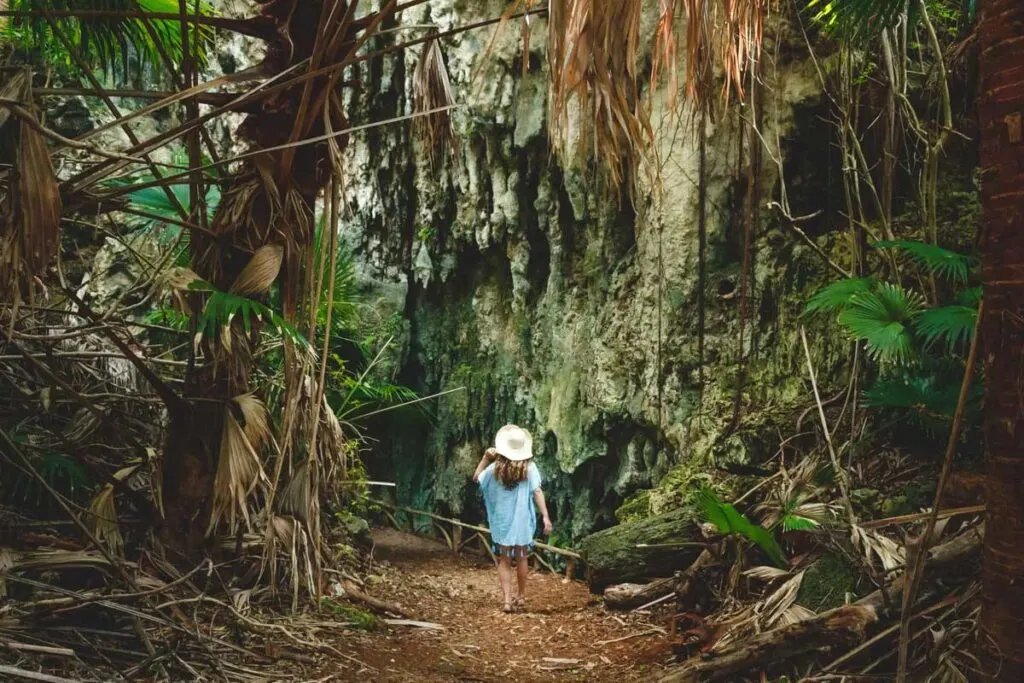 Blue Hole Park in Bermuda—What You Need to Know! (2023)