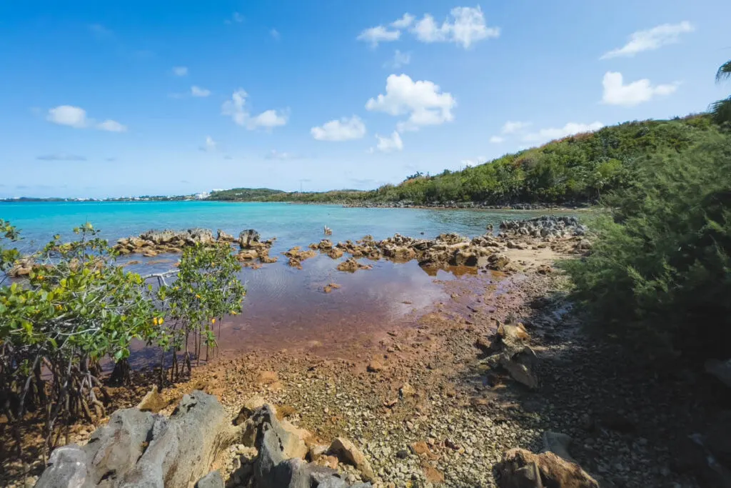 Blue Hole Park in Bermuda—What You Need to Know! (2023)