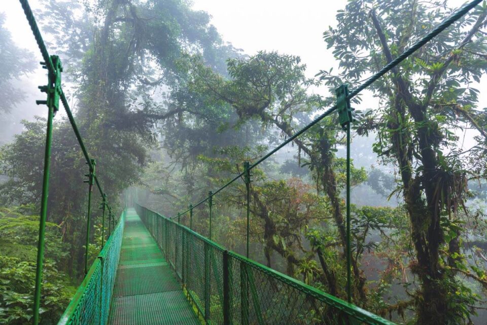 Things to Do in Monteverde, Costa Rica: Your FULL Guide!