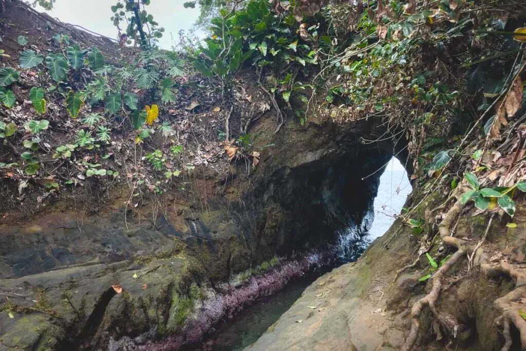 Your Guide to Puerto Viejo—Costa Rica's Caribbean Surf Town (2023)