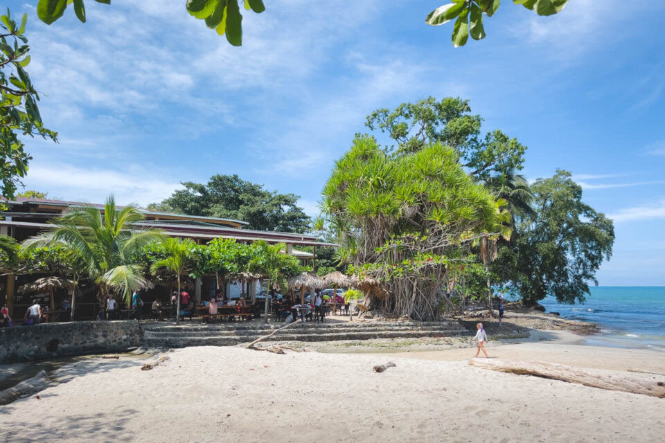 Cahuita National Park: Everything You Need to Know!