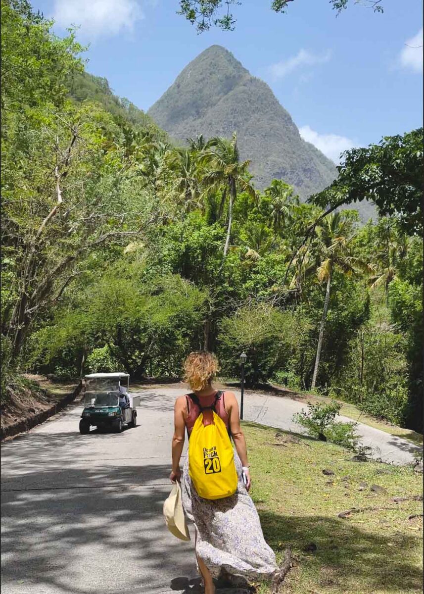 Sugar Beach, St. Lucia: EVERYTHING You Need to Know!