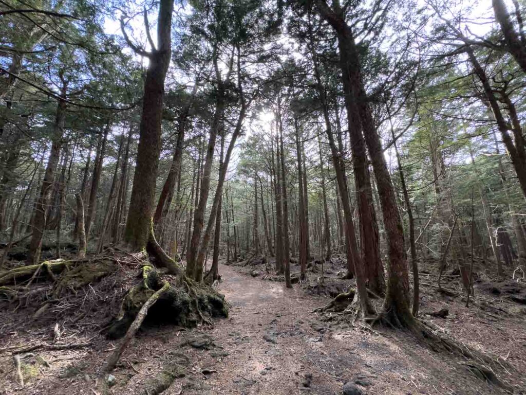 7 PERFECT Things to Do at Mount Fuji in 2 Days