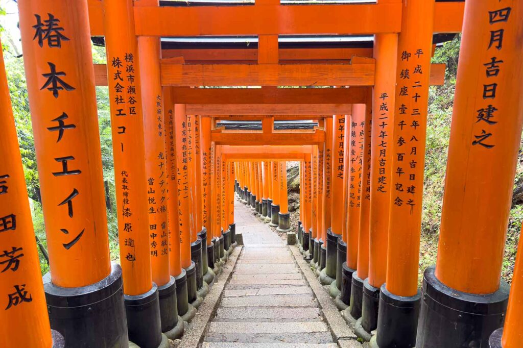 Fushimi Inari Hike in Kyoto, Japan—What to Know!