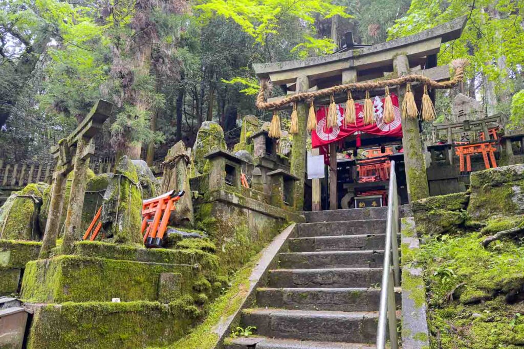 Fushimi Inari Hike in Kyoto, Japan—What to Know!