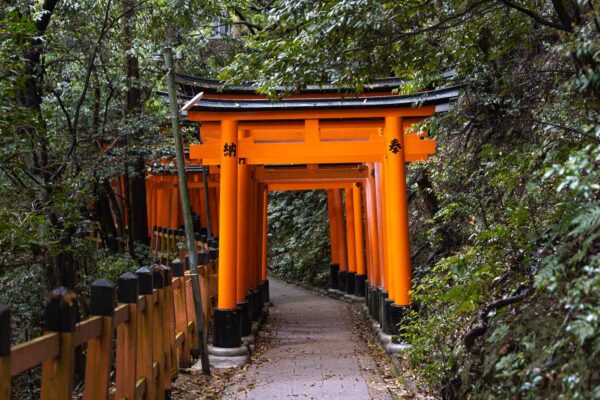 Fushimi Inari Hike in Kyoto, Japan—What to Know!