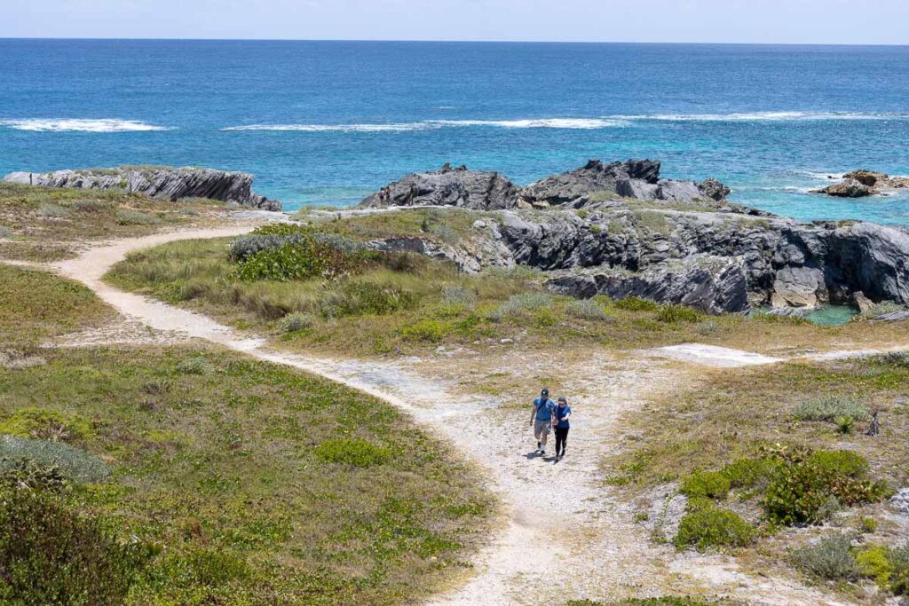 Cooper’s Island Nature Reserve in Bermuda: A MUST Visit!