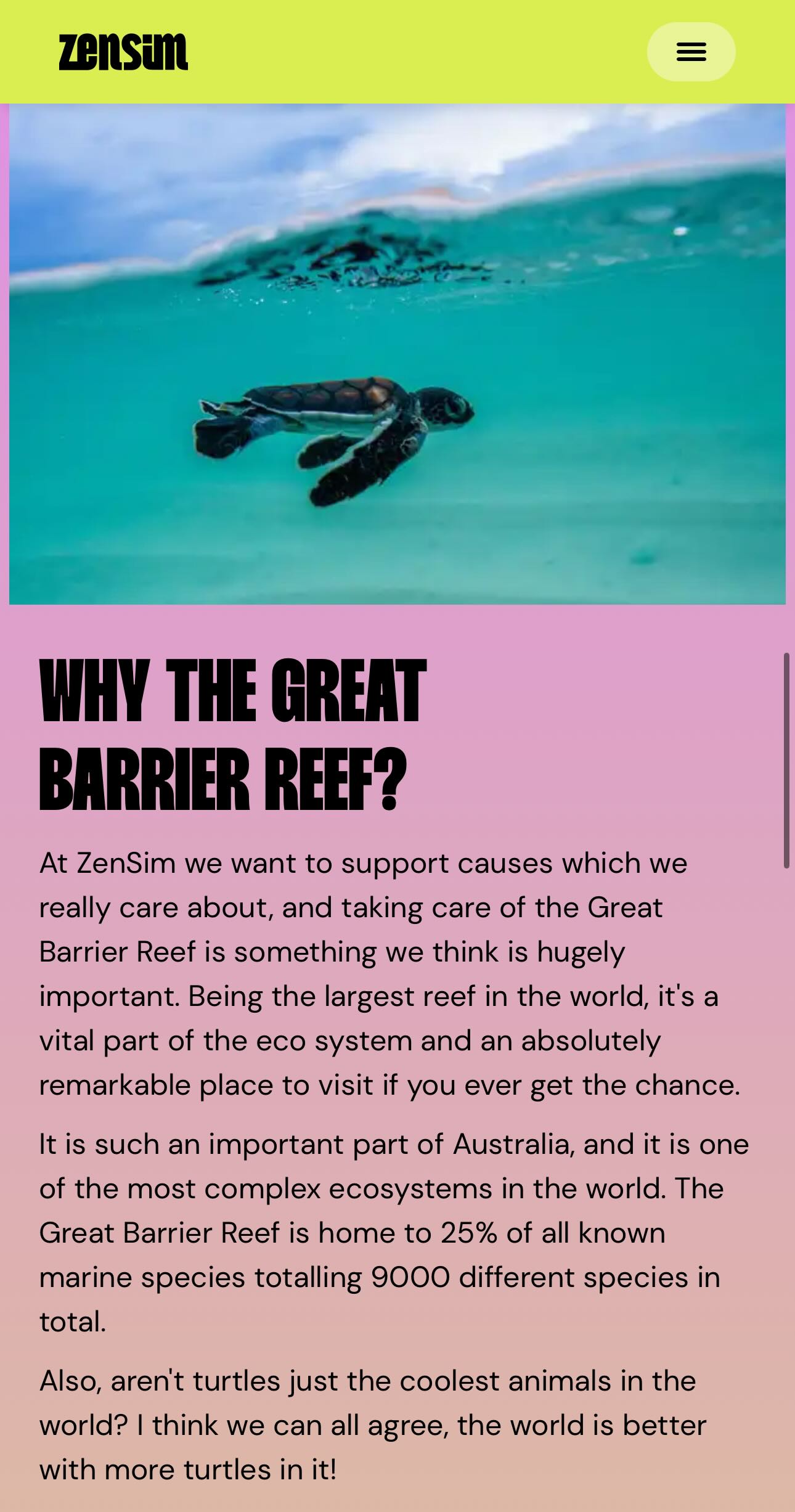 ZenSim Review: An eSIM With a Purpose