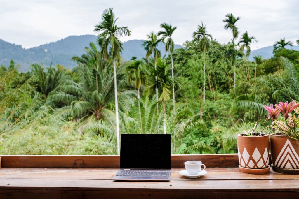 The Digital Nomad’s Guide to Hacking the Remote Job Market